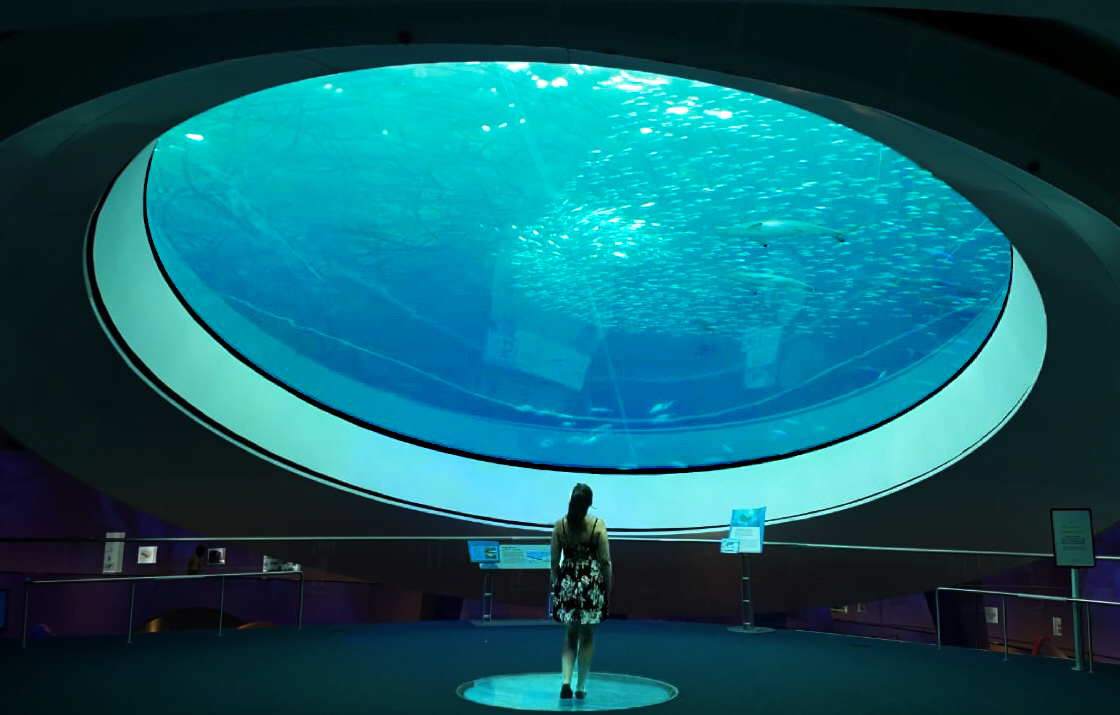Frost Museum of Science – Miami, FL – Francisca Claret